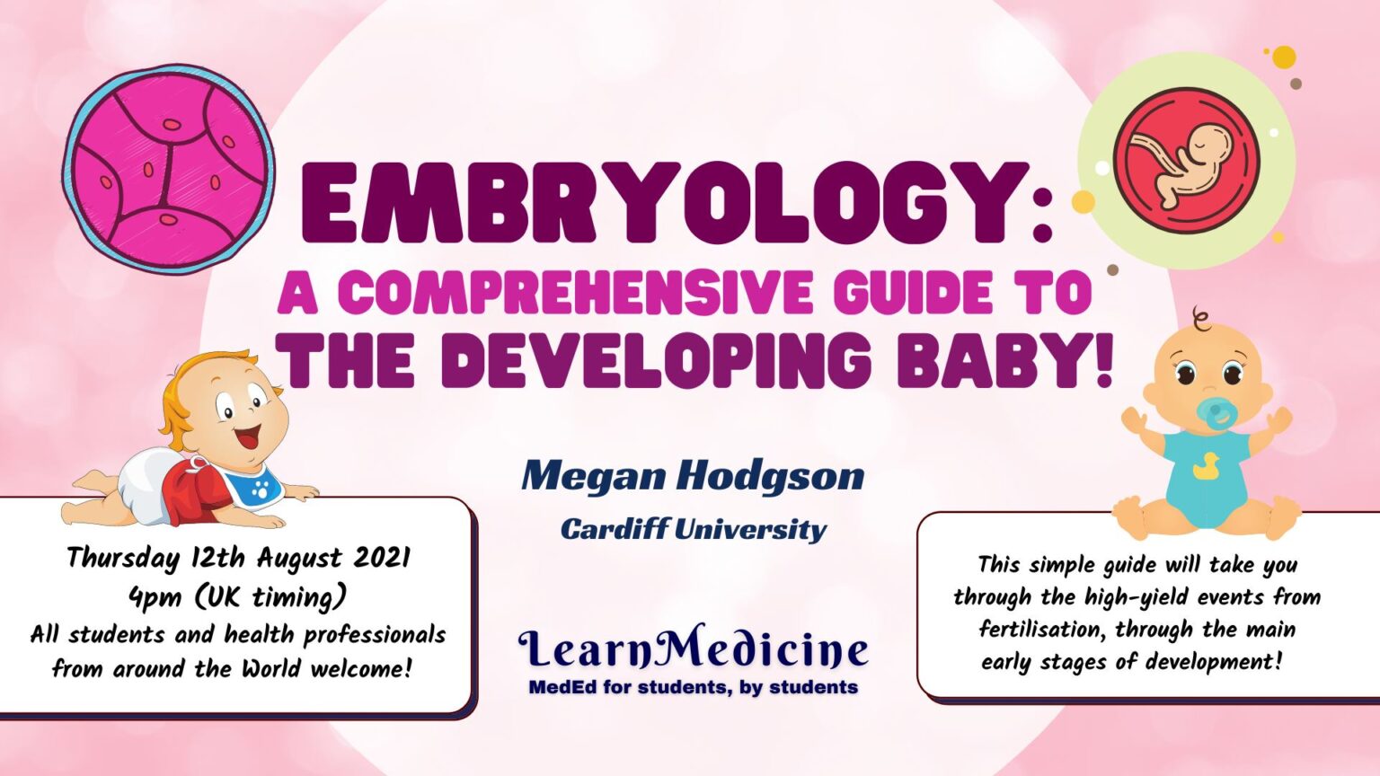 Embryology: A Comprehensive Guide to the developing baby! – LearnMedicine